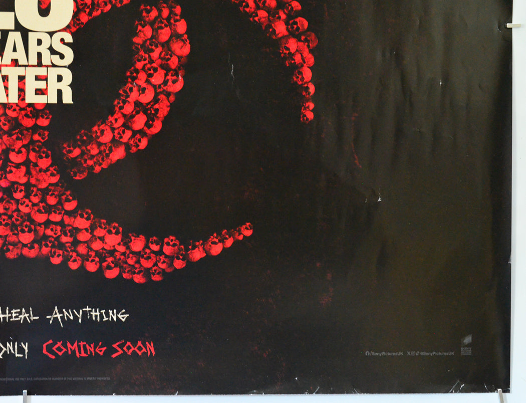 “28 Years Later” Original Quad Poster - Film Poster - Movie Poster ...