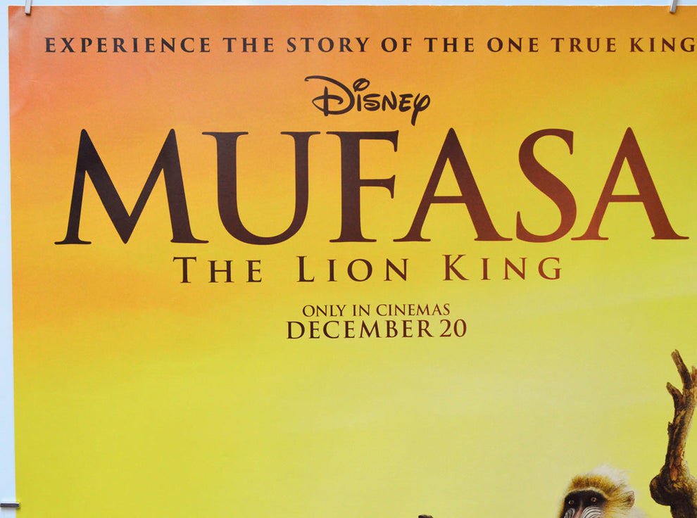 “Mufasa: The Lion King” Original Quad Poster - Film Poster - Movie Pos ...