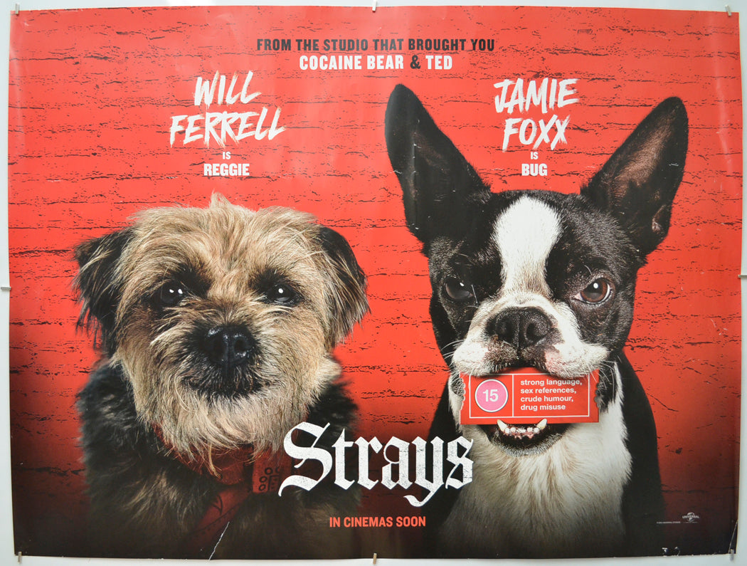“Strays” Original Quad Poster - Film Poster - Movie Poster – pastposters